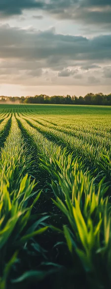 - USA County Map Insights